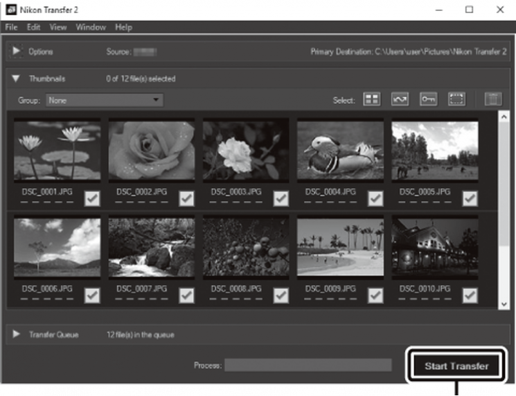 How to Transfer Photos From Nikon Coolpix To Computer - Easy Steps ...