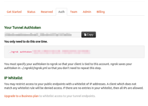 How to install ngrok in Termux on Android 2023 - Crisis Shelter