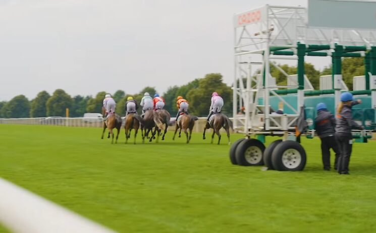 How AI Technology Can Change The Horse Racing Industry: From Track to ...